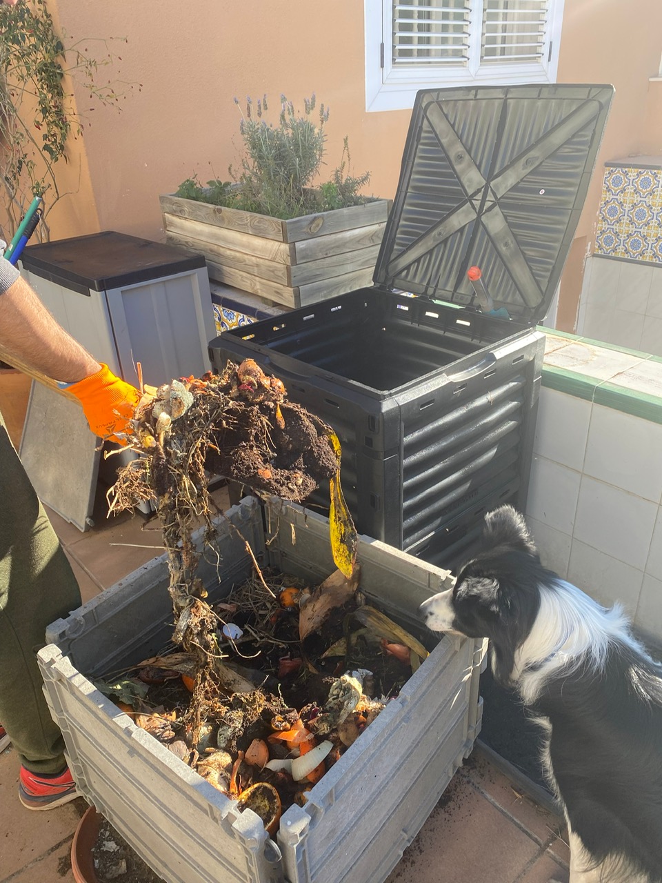 Compostera y vermicompostera ⋆ Cultivar mi Huerto